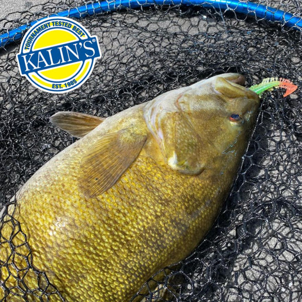 Kalin's Lures: A Diverse Arsenal for Every Bass Fishing Scenario - Acme ...
