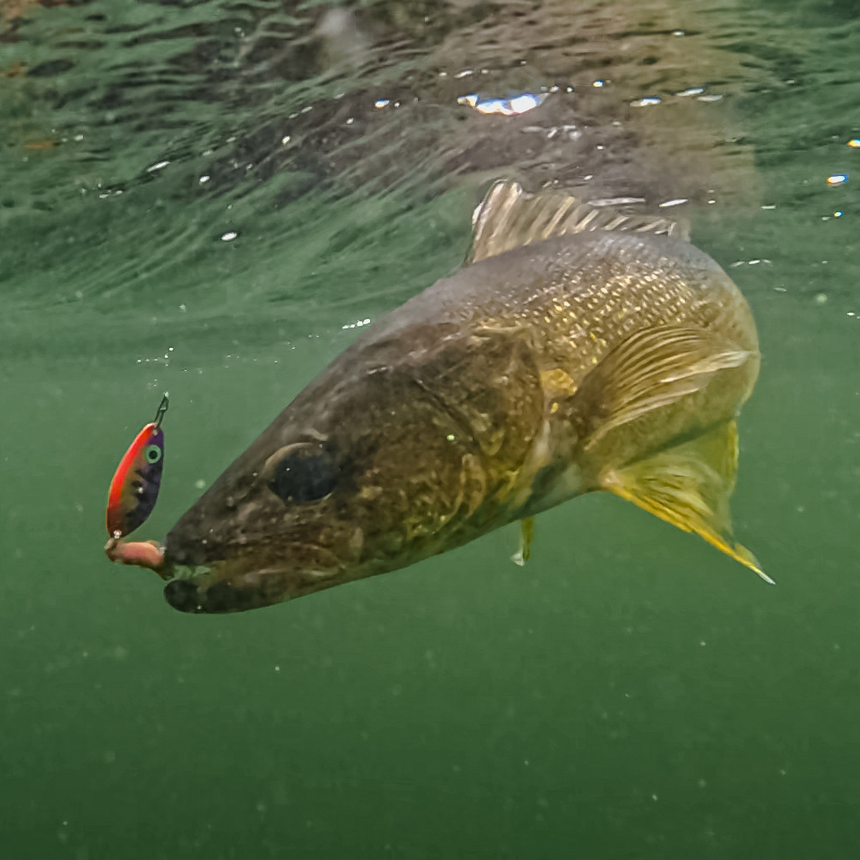 2026 New Releases – Acme Tackle Company