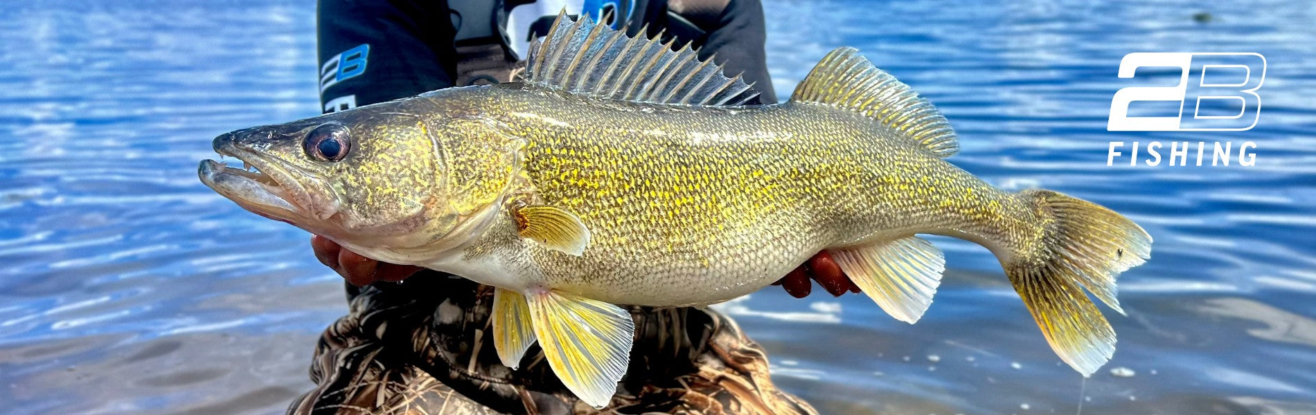 2B Fishing - Acme Tackle Company