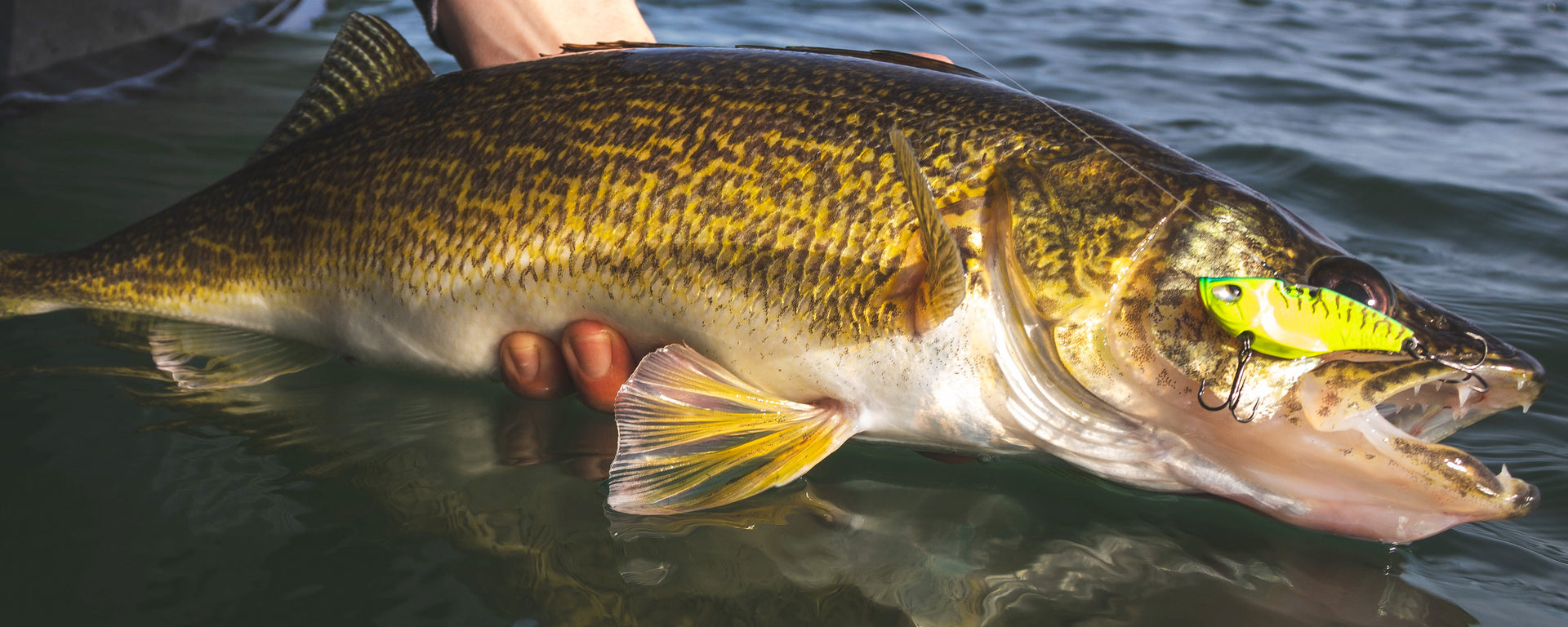 Acme Tackle | Fishing Lures & Baits – Acme Tackle Company